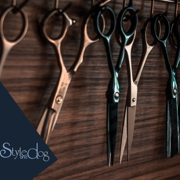 Dale un toque único y exclusivo a tus tijeras con nuestro servicio de Personalización de Tijeras ...