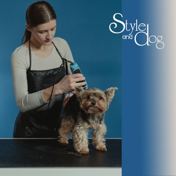 Las 5 Preguntas Clave sobre el Grooming Canino :: Equipamiento y productos para peluqueros caninos