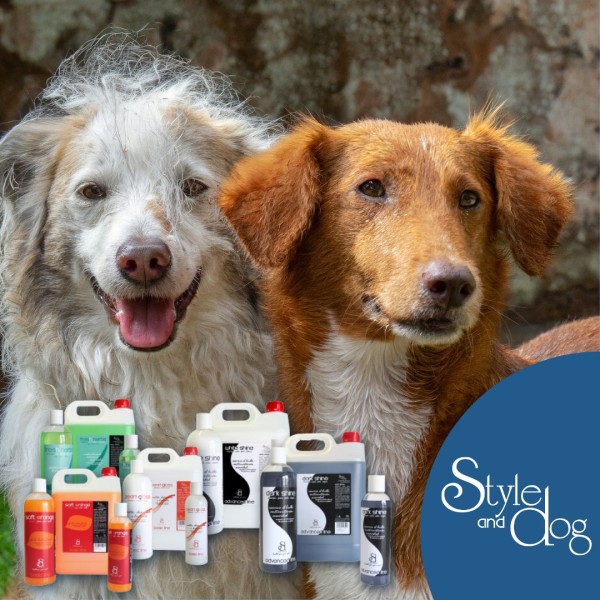 Guía Profesional para Elegir el Mejor Champú para Perros :: Equipamiento y productos para ...