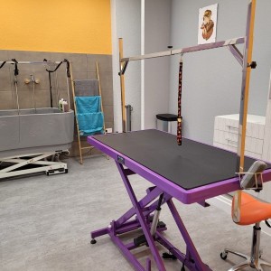 ¿Qué es el grooming en peluquería canina? :: Equipamiento y productos para peluqueros caninos